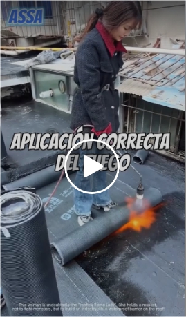 Aplicacion Correcta del Fuego – ASSA Caribbean Inc